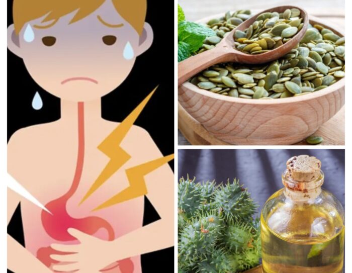 Get Rid of Intestinal Parasites Naturally: Recipe with Castor Oil and ...