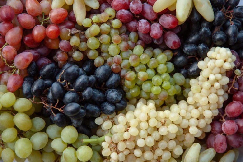 Grapes are extraordinary for the body and have many medicinal qualities ...