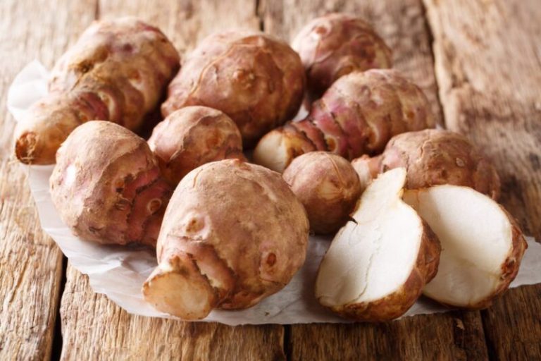 What You Didn’t Know About Jerusalem Artichoke: The Forgotten Diabetic ...
